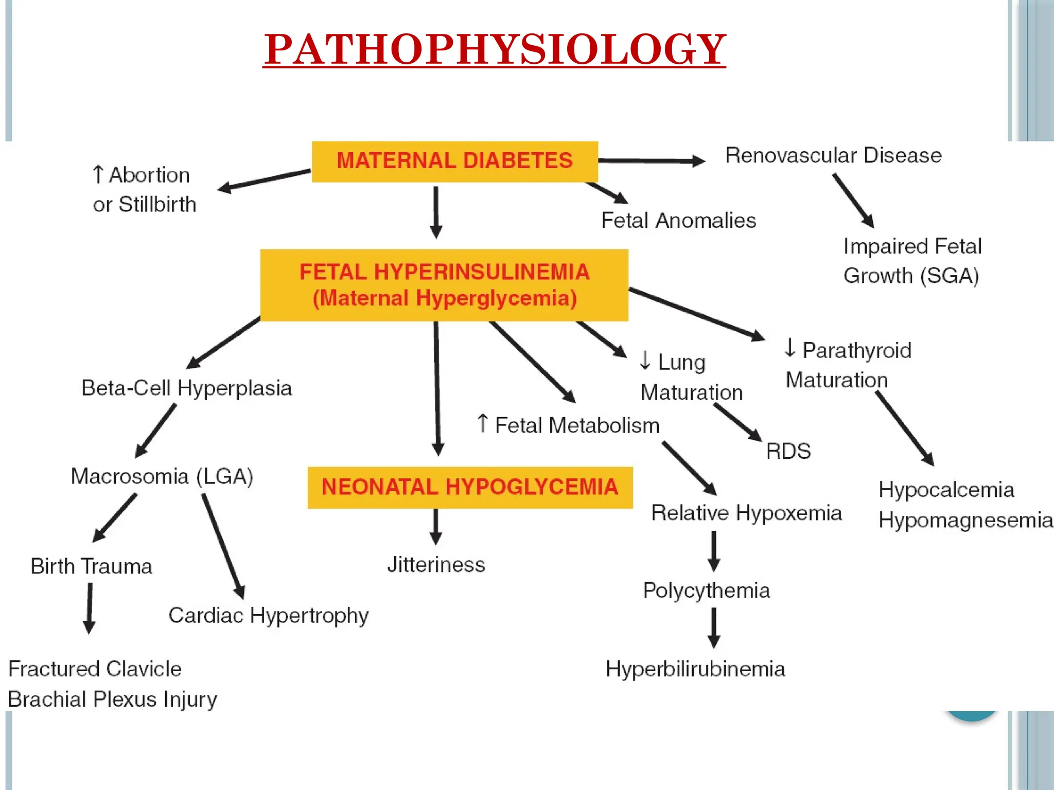 INFANT OF DIABETIC MOTHER copyslides.pptx | Pregnancy | Reproductive Health