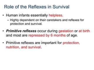 infant reflexes.ppt