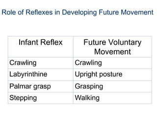 infant reflexes.ppt neuro rehabilitation | PPT