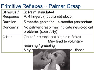 infant reflexes.ppt neuro rehabilitation | PPT
