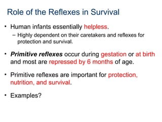 infant reflexes.ppt neuro rehabilitation | PPT