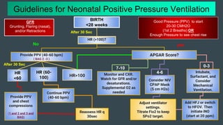 Infant respiratory distress syndrome PPV guideline