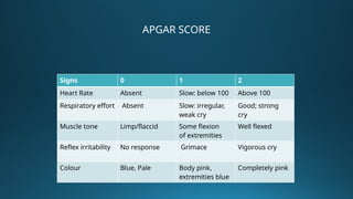INFANT RESUSCITATION- ADAPTATION TO THE ENVIRONMENT.pptx