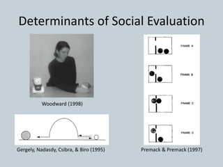 Infant Social Evaluations | PPT