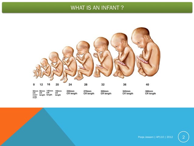 Infant speech perception | PPT | Parenting Babies and Toddlers | Parenting