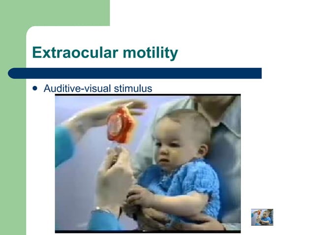 Infant's vision | PPT