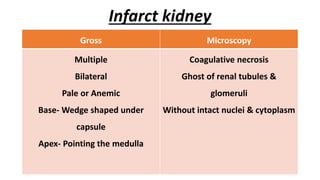 Infarct | PPT