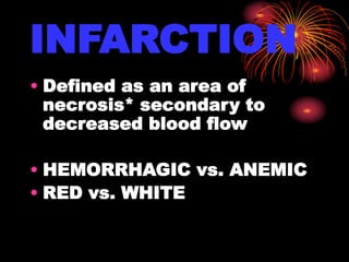 Infarction | PPT | Heart and Cardiovascular Diseases | Diseases and ...