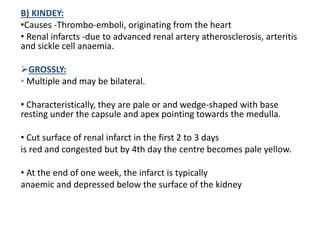 INFARCTION pathology medical students h | PPTX | Blood Disorders ...