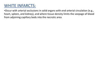 INFARCTION pathology medical students h | PPTX | Blood Disorders ...