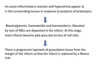 INFARCTION pathology medical students h | PPTX | Blood Disorders ...