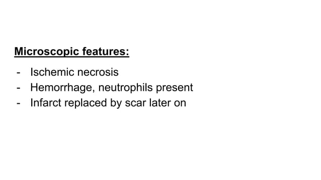 Infarction: types of infarcts, morphology - Pathology - ATOT | PPTX