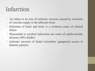 Infarction pathology lecture medical.pptx