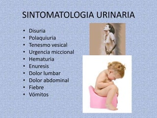 Infecciónes del tracto urinario | PPTX