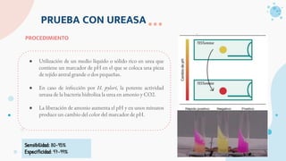 INFECCIÓN POR HELICOBACTER PYLORI.pptx