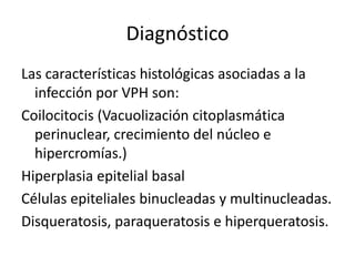 Infección por papilomavirus humano | PPTX