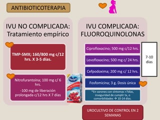 Infección de vías urinarias bajas y altas | PPTX