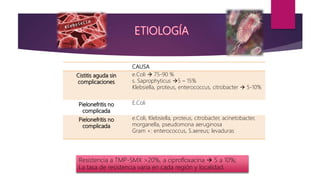 IVU Infección vias urinarias | PPTX