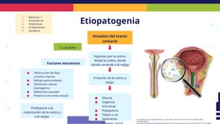infeccion-de-vias-urinarias-pediatria.pptx