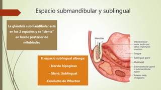 Infeccion de espacios profundos cuello | PPTX