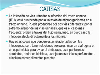 Infeccion de Vías Urinarias | PPT