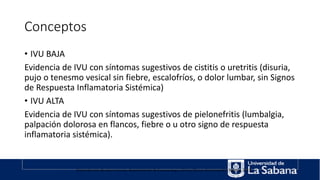 Infeccion de vias urinarias. Farmacologia clinica | PDF
