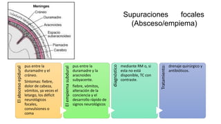 Infecciones del sistema nervioso central | PPTX