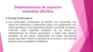 INFECCIONES-DE-VIAS-URINARIAS-BAJAS.pptx