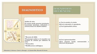 Infecciones de vias urinarias y litiasis renal en el embarazo realizado ...