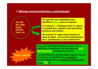 Infecciones por-Shewanella spp---------- | PDF