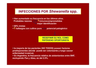 Infecciones por-Shewanella spp---------- | PDF