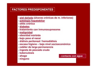 Infecciones por-Shewanella spp---------- | PDF
