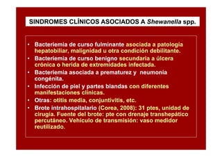 Infecciones por-Shewanella spp---------- | PDF