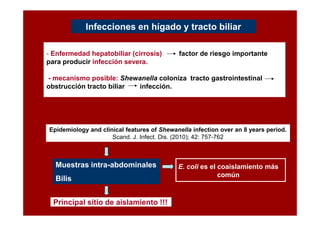 Infecciones por-Shewanella spp---------- | PDF
