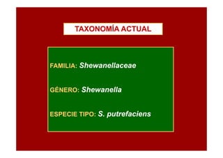 Infecciones por-Shewanella spp---------- | PDF