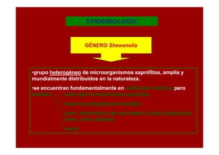 Infecciones por-Shewanella spp---------- | PDF