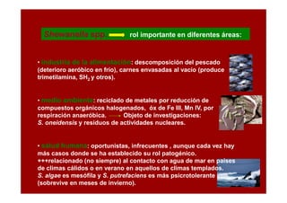 Infecciones por-Shewanella spp---------- | PDF