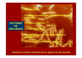 Infecciones por-Shewanella spp---------- | PDF