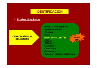 Infecciones por-Shewanella spp---------- | PDF