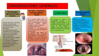 Infecciones Agudas de las Vías Respiratorias Superiores.pptx