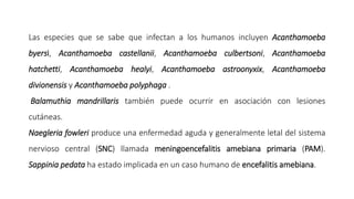 Infecciones amebianas de vida libre.ppt
