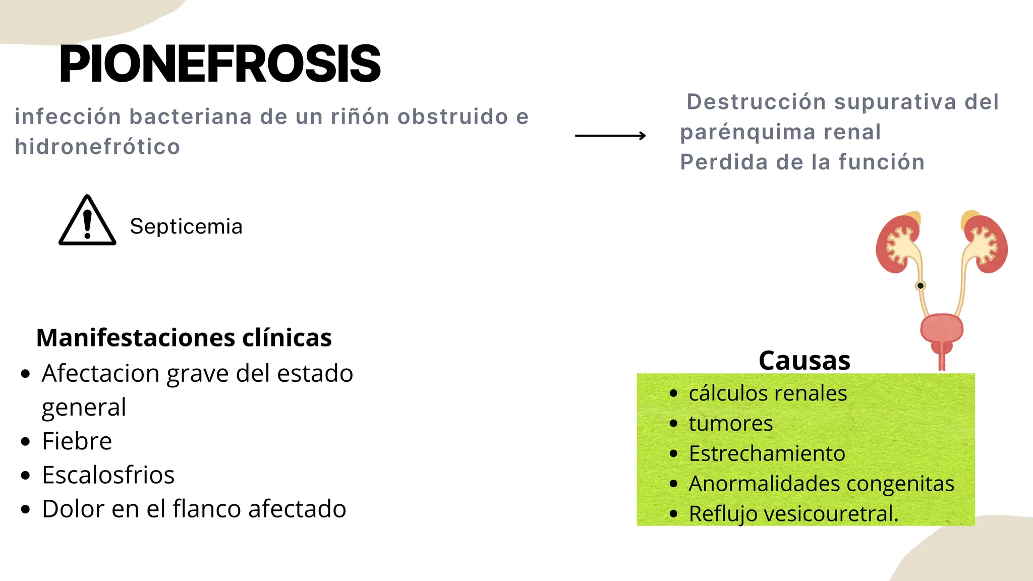 infecciones_bacterianas_de_vías_urinarias_y_sus_complicaciones.pdf