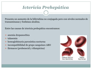 Infecciones de hígado e ictericia obstructiva | PPTX