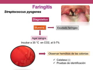 Infecciones de las vias respiratorias superiores | PPTX