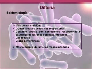 Infecciones de las vias respiratorias superiores | PPTX