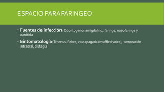 Infecciones de los espacios profundos del cuello | PPTX