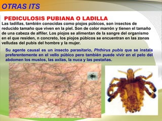 INFECCIONES DE TRANSMISION SEXUAL.ppt