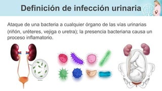 Infecciones de vías urinarias durante el embarazo | PPTX