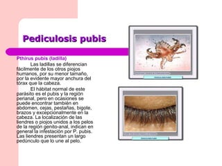 Infecciones e infestaciones del cabello y cuero cabelludo | PPS