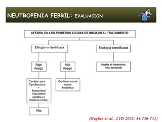 Infecciones En Paciente Neutropenico | PPT